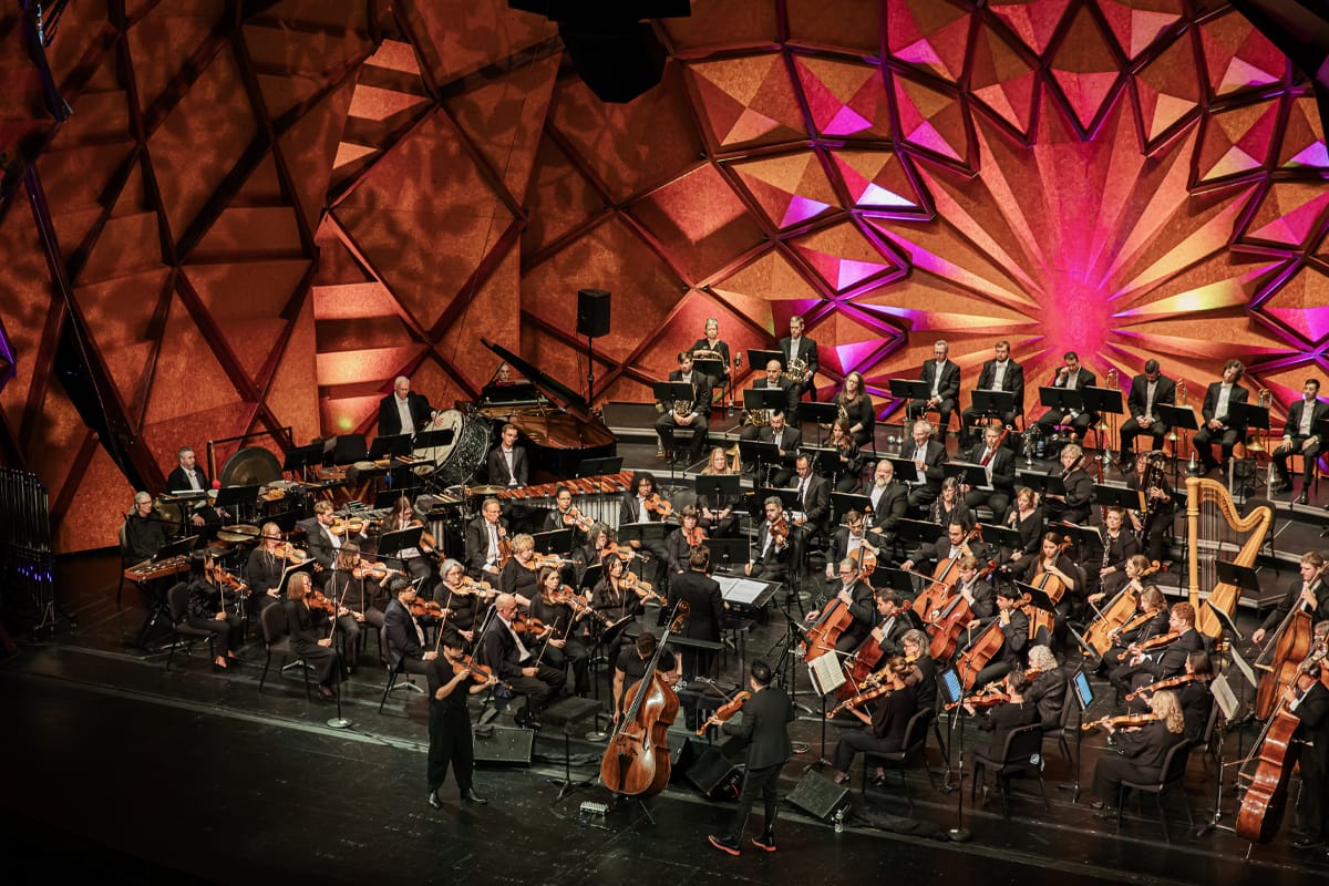 Meet the Orchestra – Amarillo Symphony